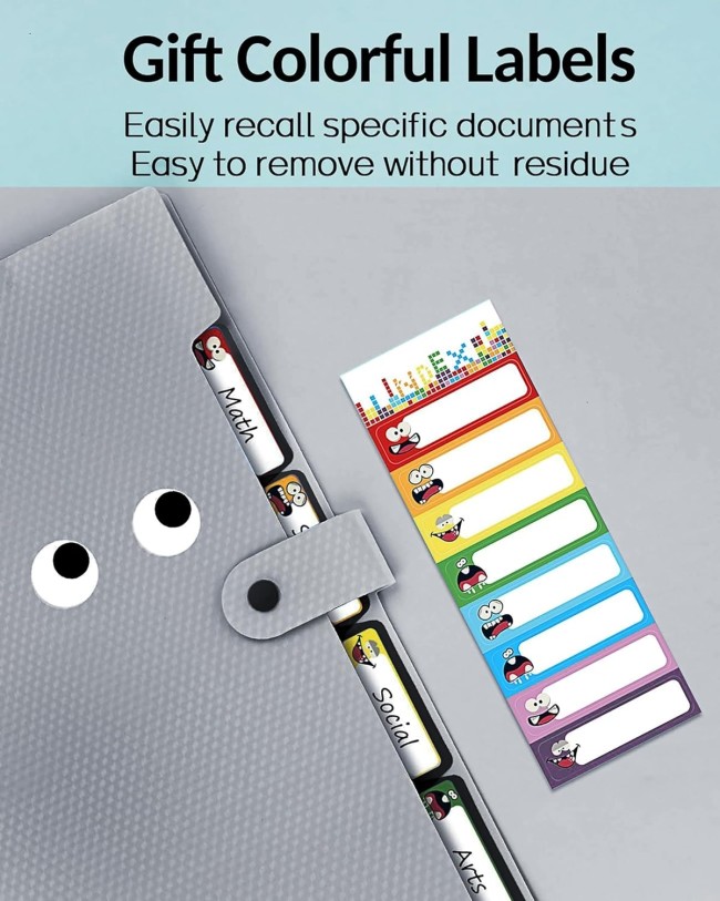 NISUN 5 Pocket Expanding File Folder with Fun Sticky Labels, Letter ...